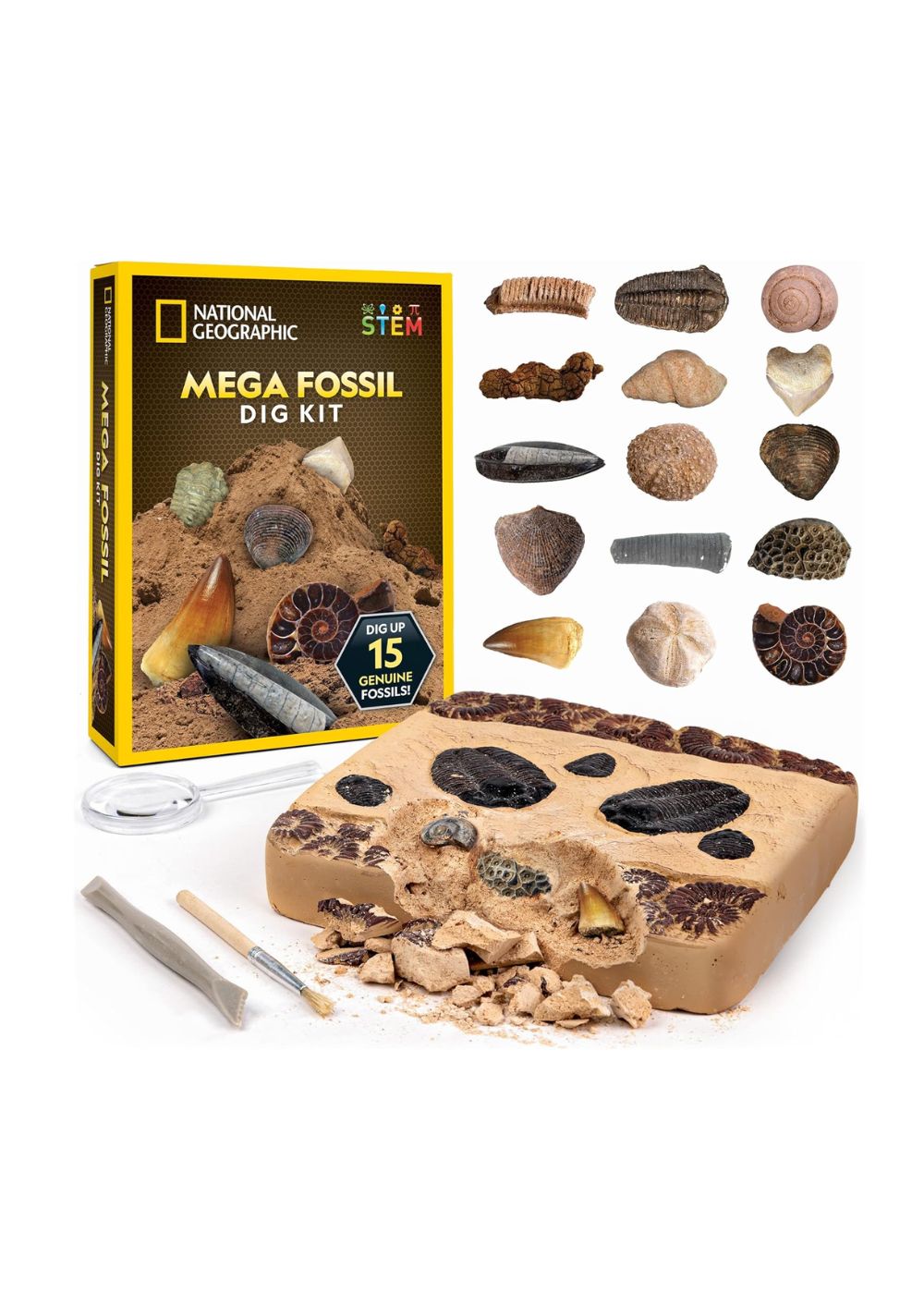 NATIONAL GEOGRAPHIC, Mega Fossil Dig Kit - J. Cathell